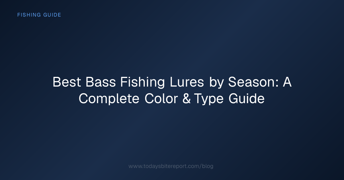 Best Bass Fishing Lures by Season: A Complete Color & Type Guide ...