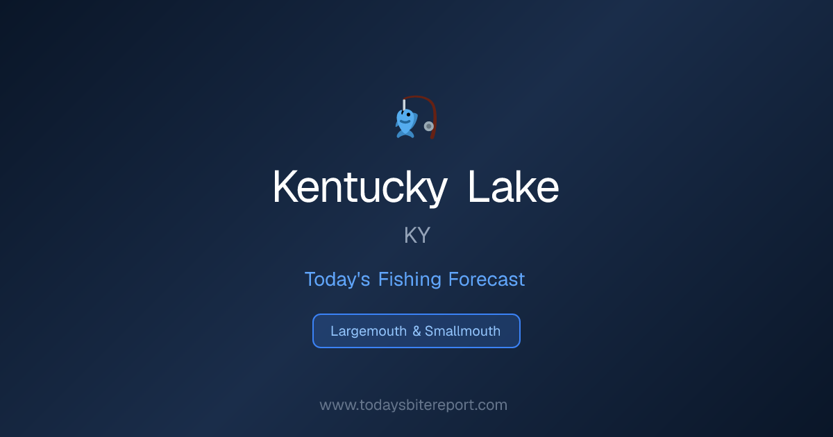 Kentucky Lake Bass Fishing Forecast Today | Today's Bite Report