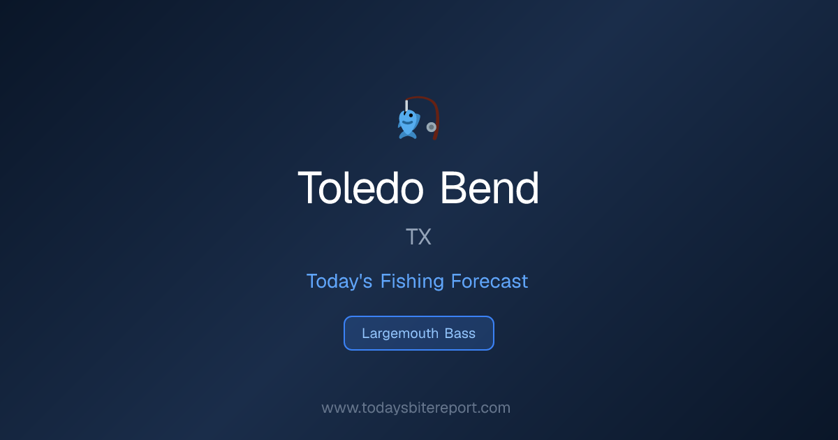 Toledo Bend Bass Fishing Forecast Today | Today's Bite Report
